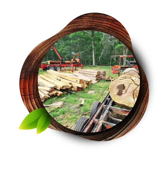 Our Services – FLYINGFIN MOBILE